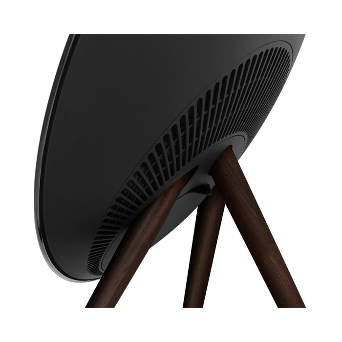 Bang & Olufsen Beosound A9 (5th Gen) - Wireless Speaker